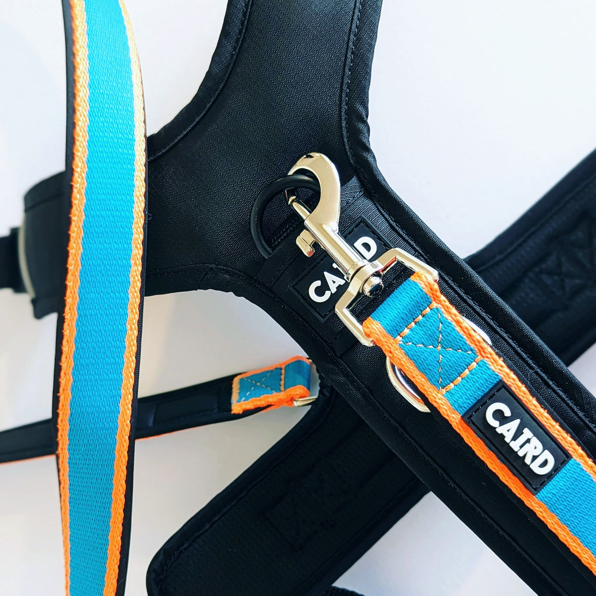 Training Lead - Double Ended - Blue & Orange – CAIRD