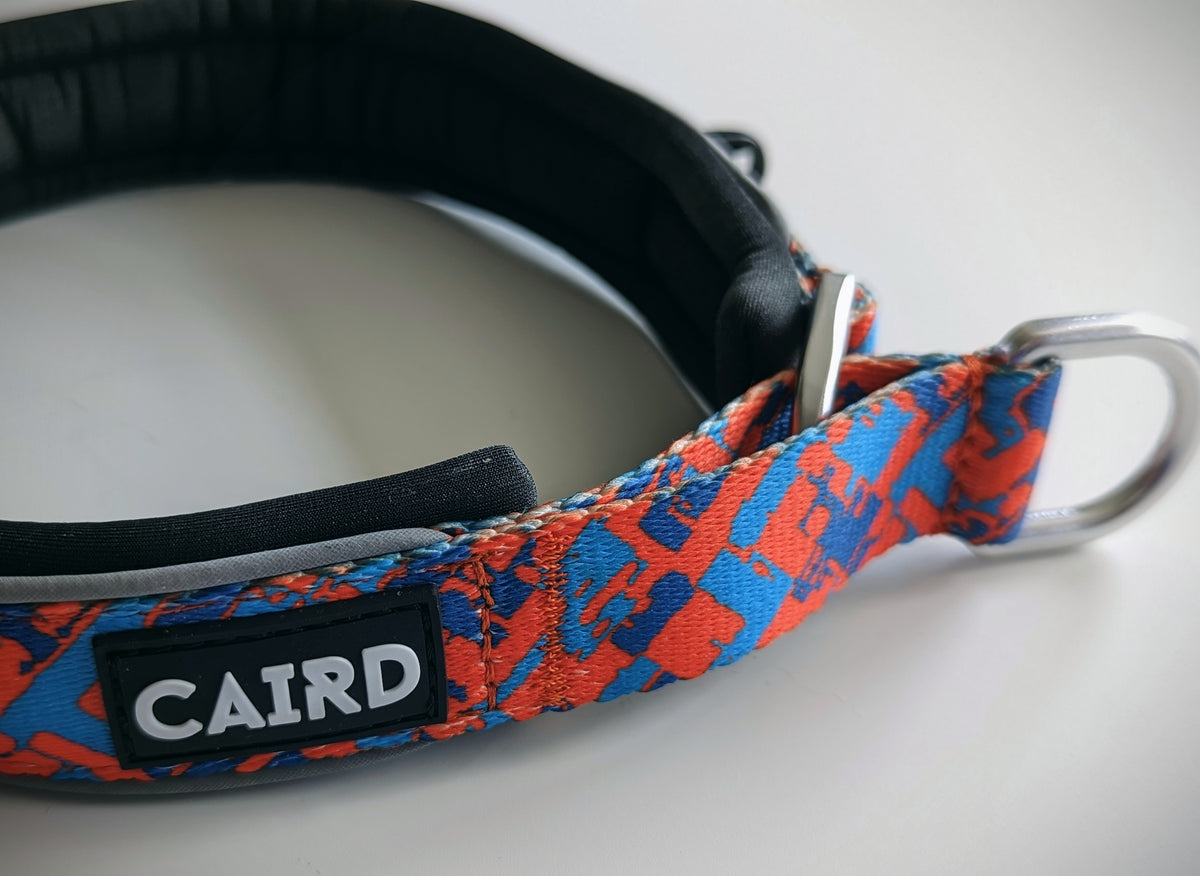 Checkpoint Slip Collar – CAIRD