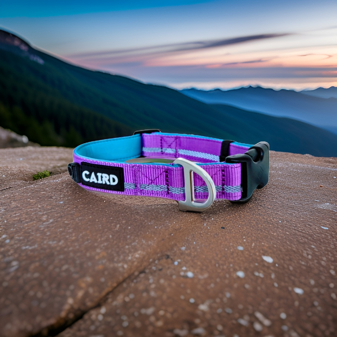 Journey Light Adjustable Collar – CAIRD