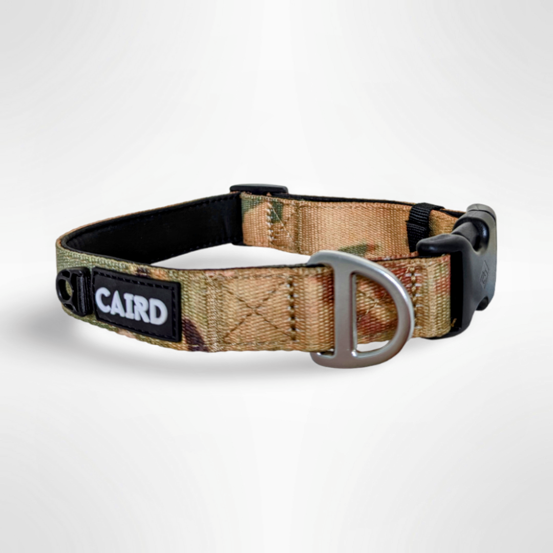 Journey Light Camouflage Collar – CAIRD
