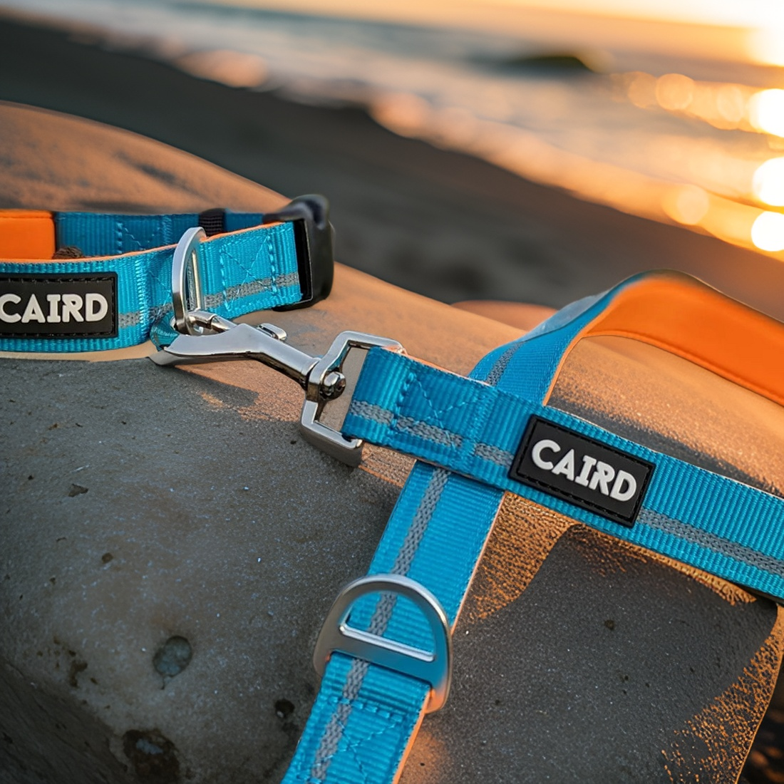 Journey Light Lead – CAIRD